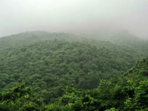 Netarhat - Queen of Chhotanagpur, Hill Station in Jharkhand ...