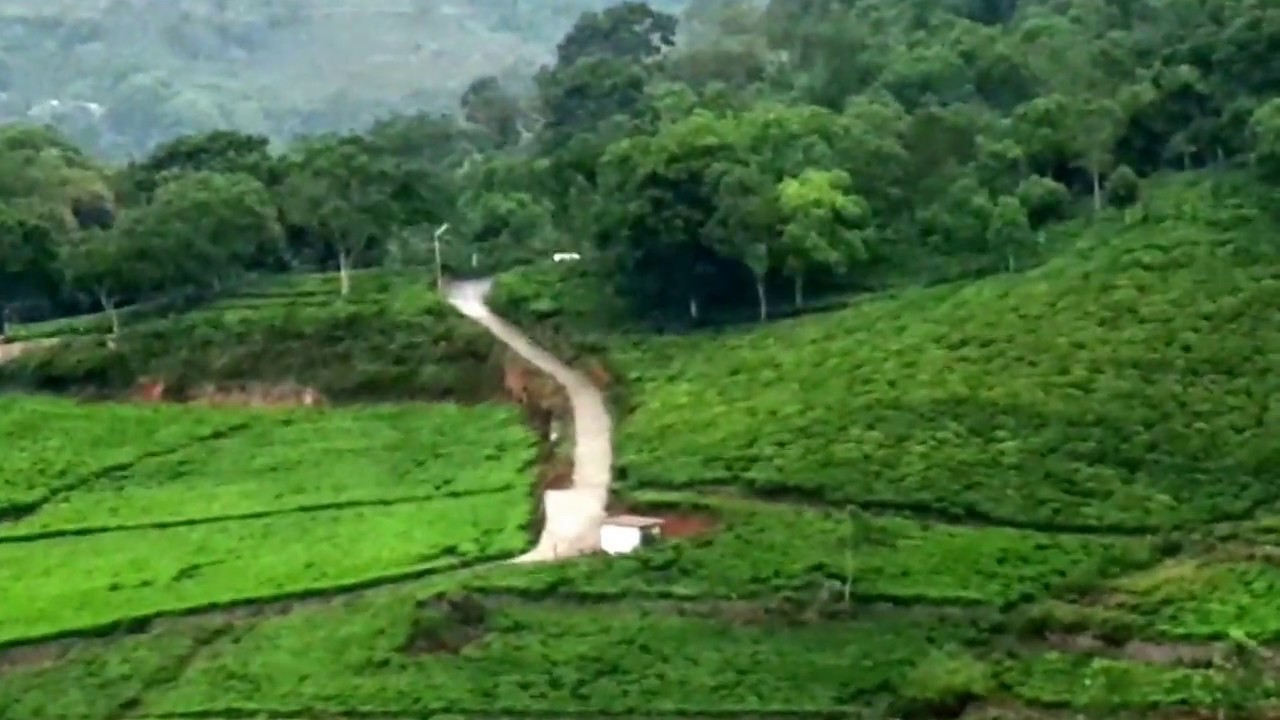 Kotagiri - Scenic Tourist Place in Nilgiri Hills, Tamil Nadu ...