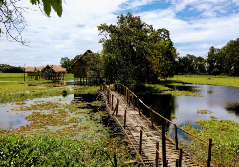 Majuli - World's Largest River Island - ChaloGhumane.com