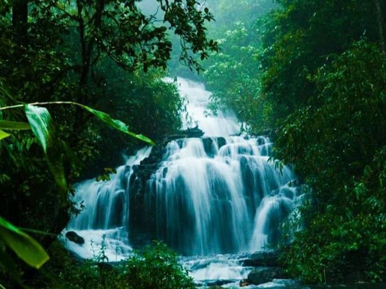 9 Best Places to Visit in Wayanad - ChaloGhumane.com