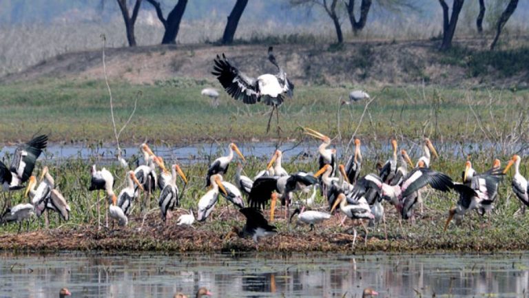 Top 10 Best Places to Visit in Hardoi - ChaloGhumane.com