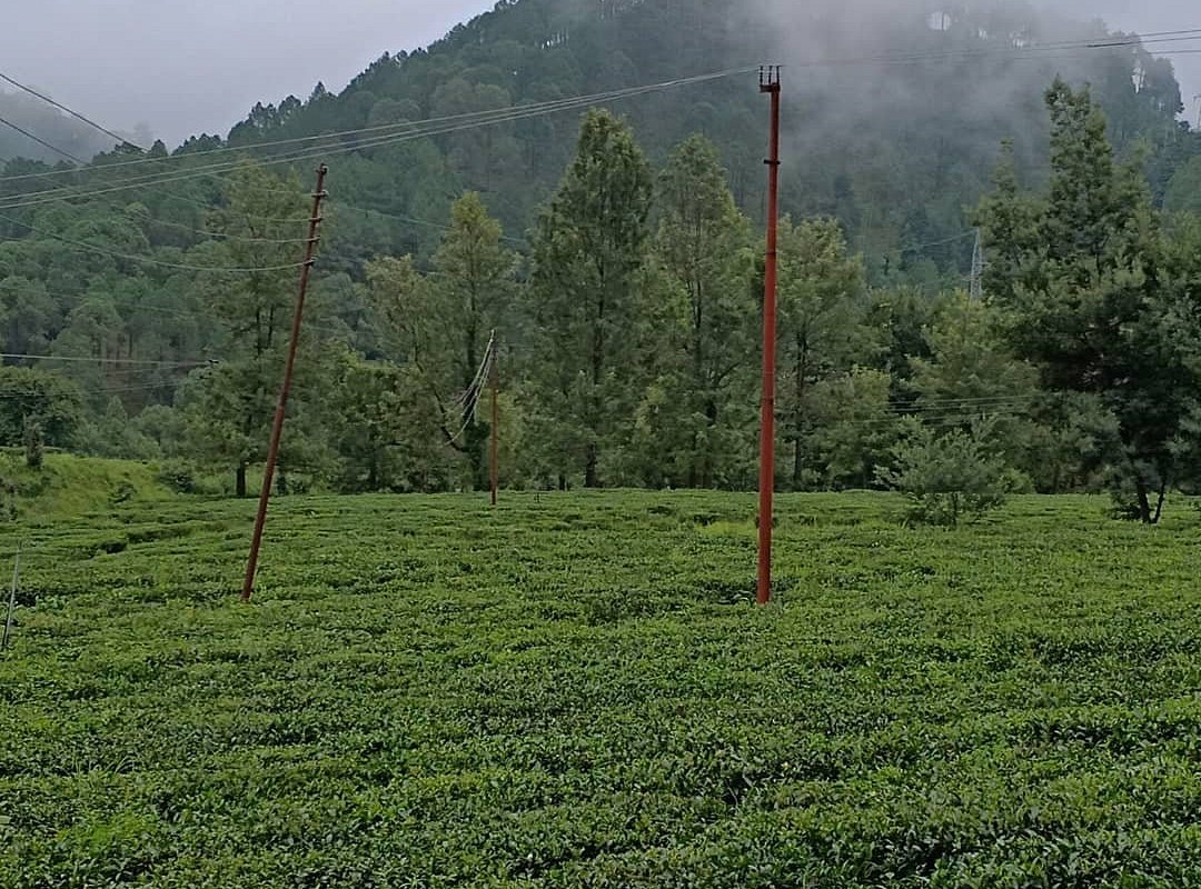 7 Best Places to Visit in Bhowali - ChaloGhumane.com