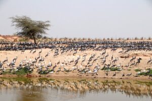 Best Places to Visit in Phalodi - ChaloGhumane.com